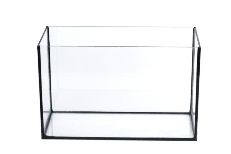 Empty Fish Tank Ideas: Transform Your Aquarium!