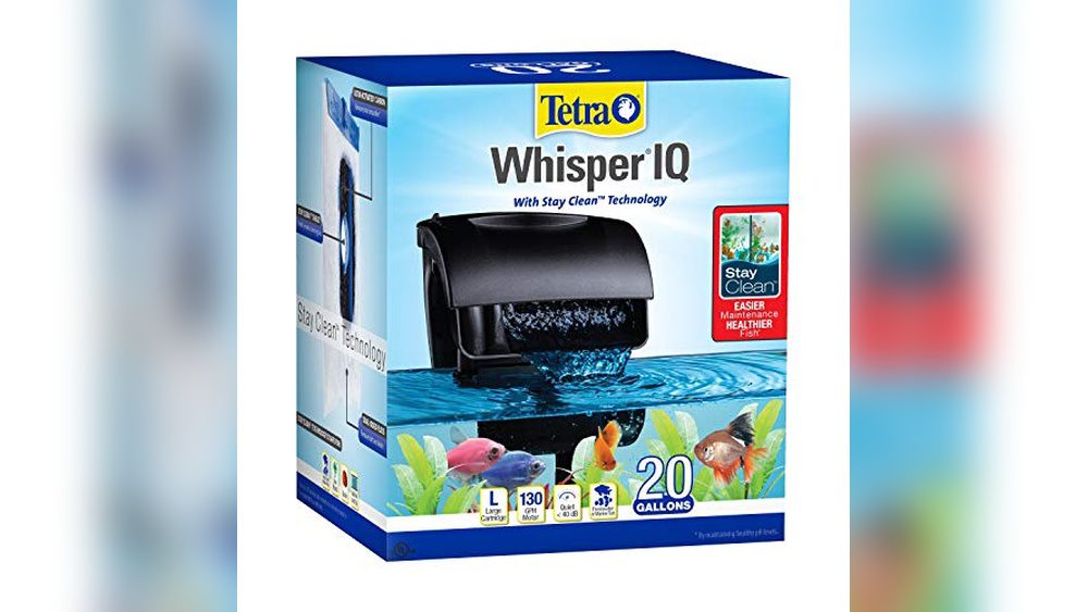 What Size Tank Does Betta Fish Need: Expert Guide